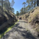 Brisbane Valley Rail Trail: Full Trail Yarraman to Wulkuraka ...