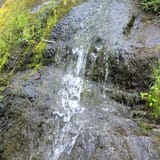 Congress Trail, California - 3,494 Reviews, Map | AllTrails