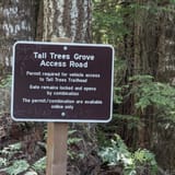 Tall Trees Grove Loop Trail, California - 2,468 Reviews, Map | AllTrails