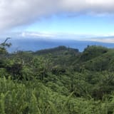 Waihe'e Ridge Trail, Maui, Hawaii - 9,136 Reviews, Map | AllTrails