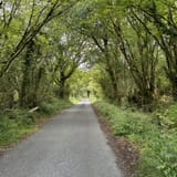 Lough Eske Nature Loop, County Donegal, Ireland - 123 Reviews, Map ...