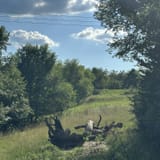 Lake Lenexa, Kansas - 664 Reviews, Map | AllTrails