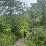 Explorer Loop, North Carolina - 447 Reviews, Map | AllTrails