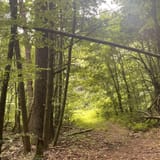 Explorer Loop, North Carolina - 447 Reviews, Map | AllTrails