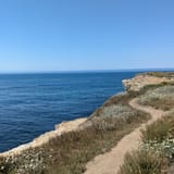 Old Cove Landing Trail, California - 3,990 Reviews, Map | AllTrails