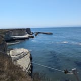 Old Cove Landing Trail, California - 3,990 Reviews, Map | AllTrails