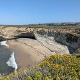Old Cove Landing Trail, California - 3,990 Reviews, Map | AllTrails