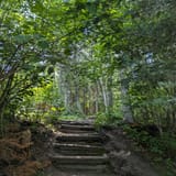 Lost '40' Trail, Minnesota - 182 Reviews, Map | AllTrails