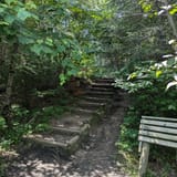Lost '40' Trail, Minnesota - 182 Reviews, Map | AllTrails