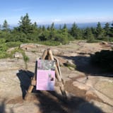 Cadillac Summit Loop Trail, Maine - 2,455 Reviews, Map | AllTrails