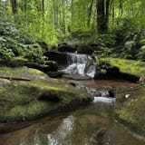 John Rock Trail Loop, North Carolina - 2,602 Reviews, Map | AllTrails