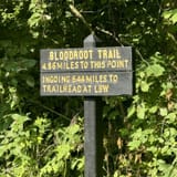 Bloodroot Trail, Indiana - 713 Reviews, Map | AllTrails