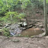 Cascade Falls Loop Trail, Maryland - 2,890 Reviews, Map | AllTrails