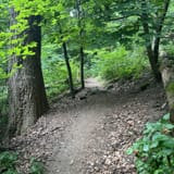 Cascade Falls Loop Trail, Maryland - 2,890 Reviews, Map | AllTrails