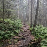 Haystack Mountain Trail, Vermont - 2,141 Reviews, Map | AllTrails