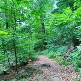 Fallingwater Cascades Trail, Virginia - 801 Reviews, Map | AllTrails