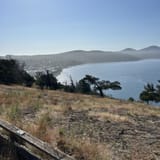 Washington Park Loop Road, Washington - 1,903 Reviews, Map | AllTrails