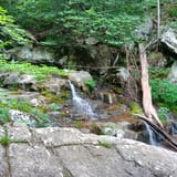 Fallingwater Cascades Trail, Virginia - 801 Reviews, Map | AllTrails