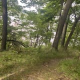 Abraham Lincoln Park White Trail, New York - 1,716 Reviews, Map | AllTrails