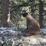 Ypsilon Lake Trail, Colorado - 1,178 Reviews, Map | AllTrails