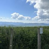 Max Patch Loop, North Carolina - 2,417 Reviews, Map | AllTrails