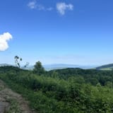 Max Patch Loop, North Carolina - 2,417 Reviews, Map | AllTrails