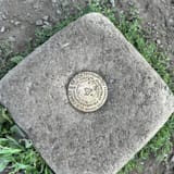 Max Patch Loop, North Carolina - 2,417 Reviews, Map | AllTrails