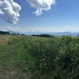 Max Patch Loop, North Carolina - 2,417 Reviews, Map | AllTrails