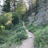 Turtle Rock Loop Trail, Wyoming - 1,365 Reviews, Map | AllTrails
