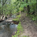 Congdon Park, Minnesota - 522 Reviews, Map | AllTrails