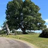 Brockenhurst and the Tall Trees Trail Circular, Hampshire, England ...