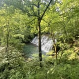 Rutledge Falls Trail, Tennessee - 666 Reviews, Map | AllTrails