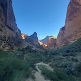 Timber Gulch, Oregon - 61 Reviews, Map | AllTrails