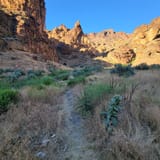 Timber Gulch, Oregon - 61 Reviews, Map | AllTrails