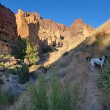 Timber Gulch, Oregon - 61 Reviews, Map | AllTrails