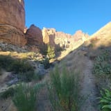 Timber Gulch, Oregon - 61 Reviews, Map | AllTrails