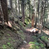 Coldwater Lake via Lakes Trail, Washington - 889 Reviews, Map | AllTrails