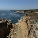 Old Cove Landing Trail, California - 3,977 Reviews, Map | AllTrails