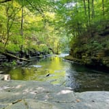 Busby and Machine Falls Loop, Tennessee - 2,164 Reviews, Map | AllTrails
