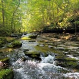 Busby and Machine Falls Loop, Tennessee - 2,164 Reviews, Map | AllTrails