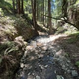 Fern Creek, Lost, and Canopy Trail Loop, California - 2,911 Reviews ...