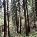 Fern Creek, Lost, and Canopy Trail Loop, California - 2,911 Reviews ...