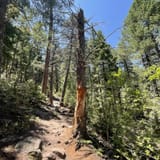 Independence Mountain Trail, Colorado - 5,402 Reviews, Map | AllTrails