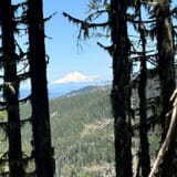 Top Spur and Timberline Loop, Oregon - 800 Reviews, Map | AllTrails