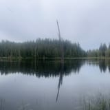 Irely Lake Trail, Washington - 125 Reviews, Map | AllTrails