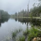 Irely Lake Trail, Washington - 125 Reviews, Map | AllTrails