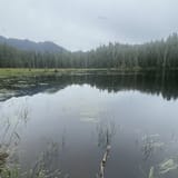 Irely Lake Trail, Washington - 125 Reviews, Map | AllTrails