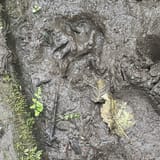 Irely Lake Trail, Washington - 125 Reviews, Map | AllTrails