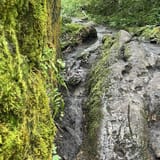 Flowerpot Island Loop Trail, Ontario, Canada - 593 Reviews, Map | AllTrails