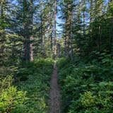 Mount Kit Carson Trail, Washington - 1,034 Reviews, Map | AllTrails